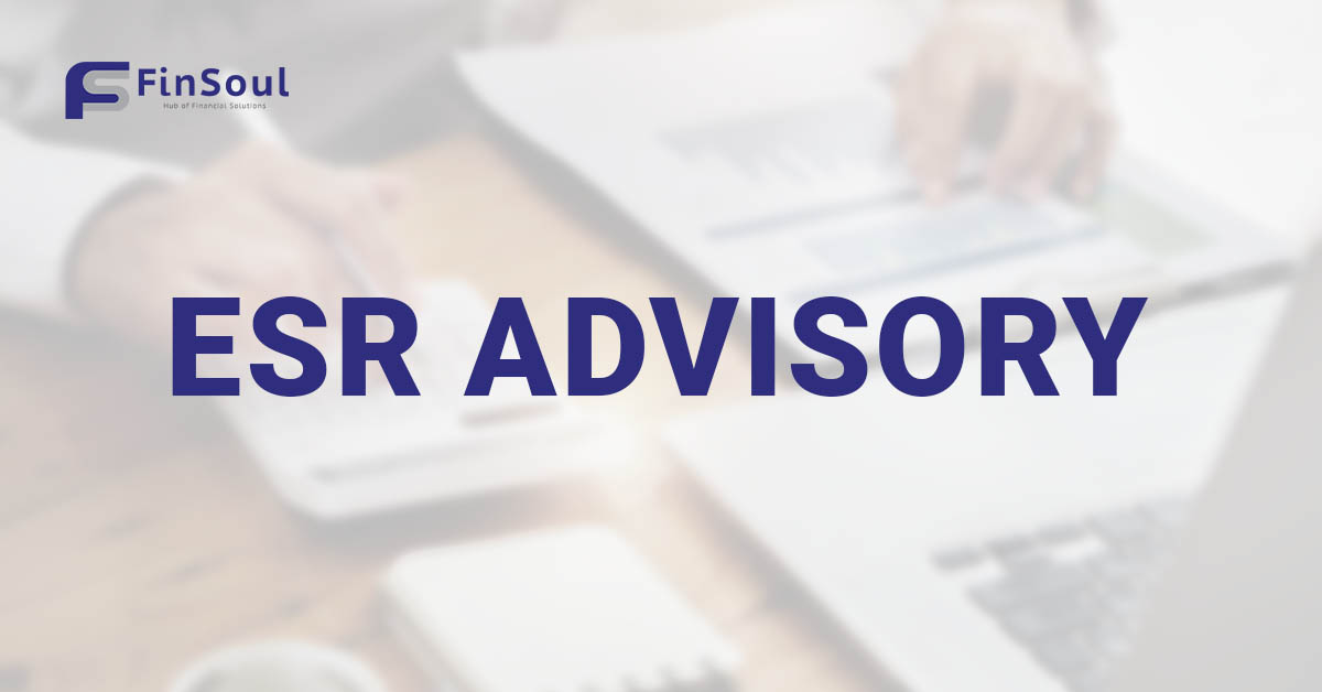 Expert ESR Advisory Services in Bahrain | Finsoul Bahrain